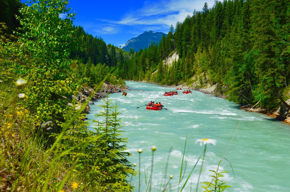 Golden River Adventures White Water Rafting in Golden, BC - Golden ...